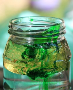 Science for Kids: Oil, Water & Detergent Experiment