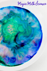 Rainbow Magic Milk Science Experiment: Fun Chemistry Science for Kids